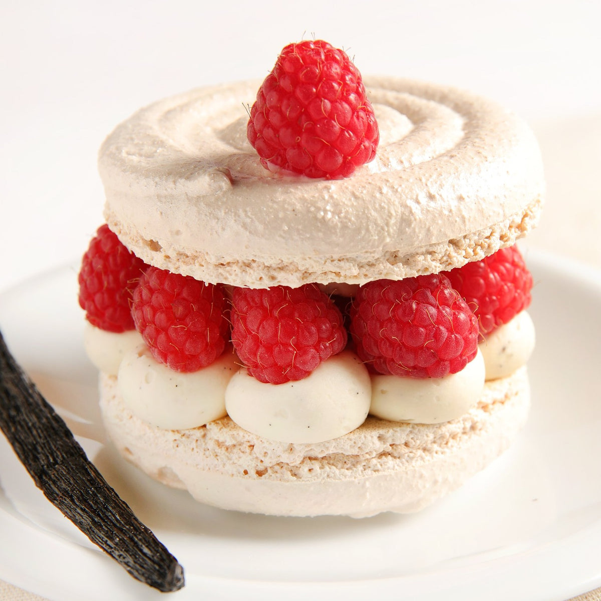 JULIETTE INDIVIDUAL – Le Macaron Boutique